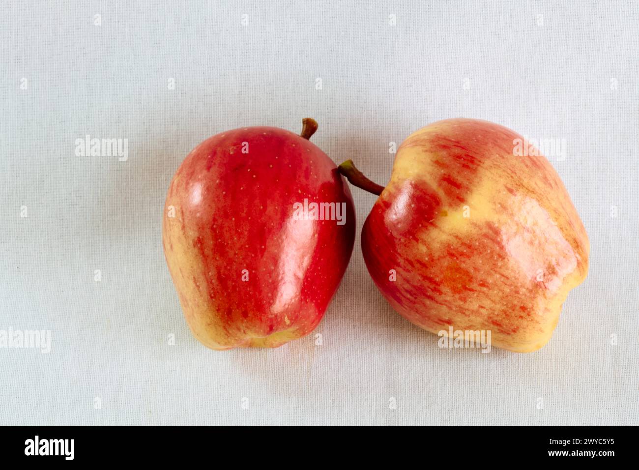 two ripe apples on a white background Stock Photo - Alamy
