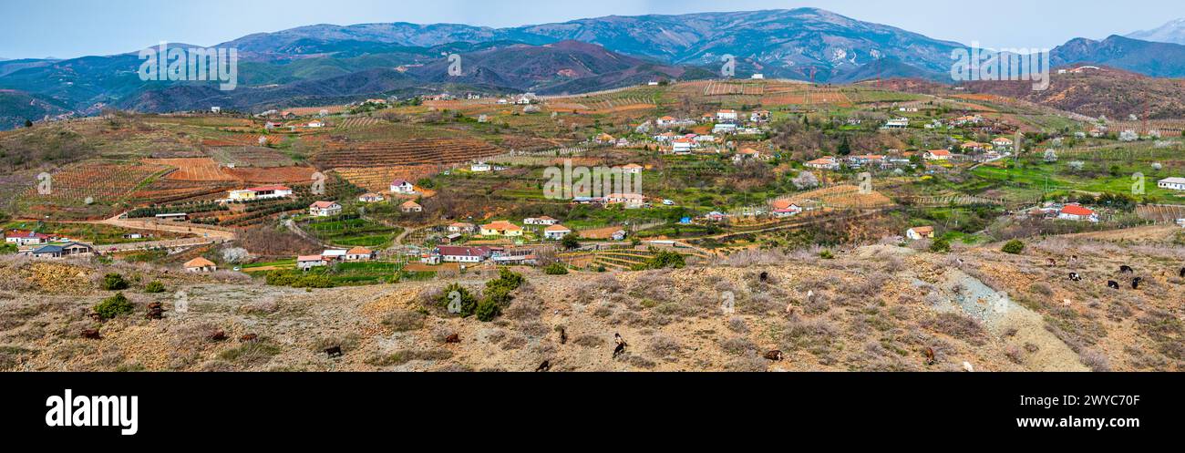 Aerial view of vineyards in a village called Bukmire, in Mirdita ...
