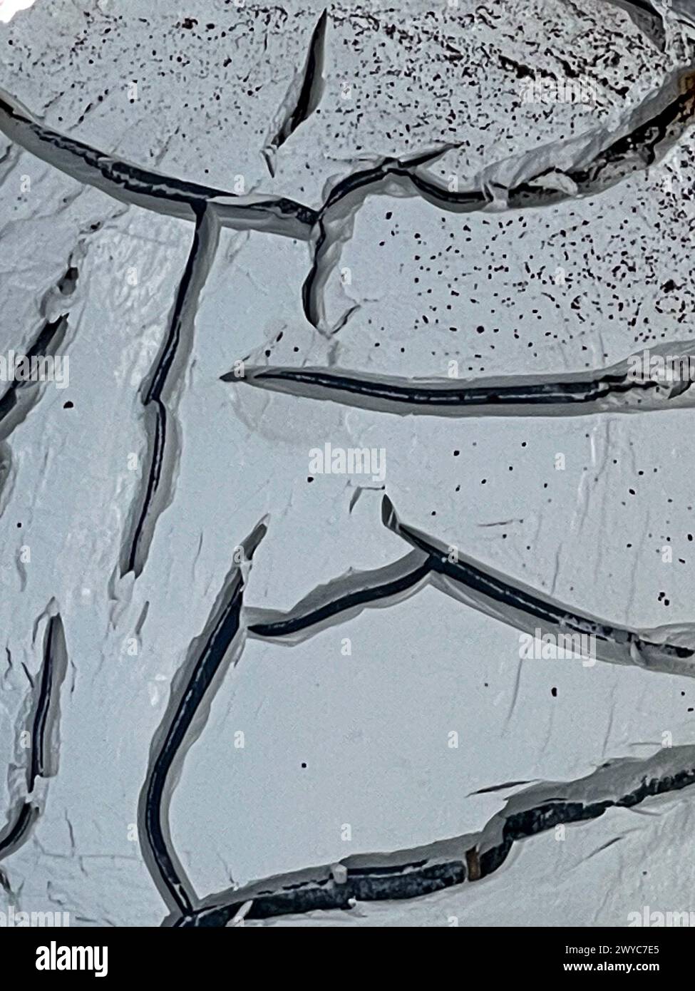 A bucket of hardened, dried out paint creates an interesting textured ...