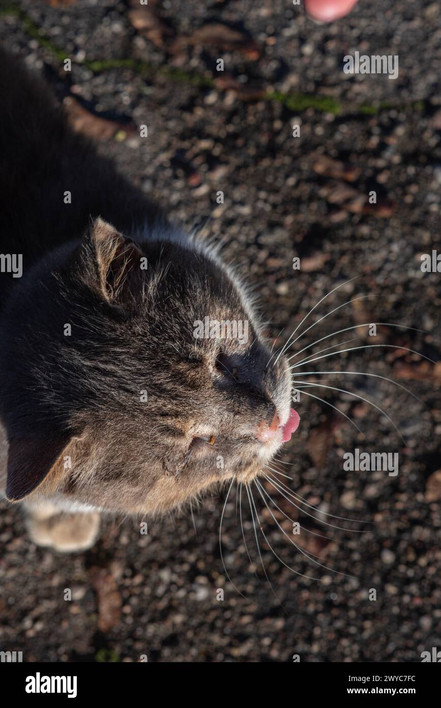 Old looks hi-res stock photography and images - Alamy