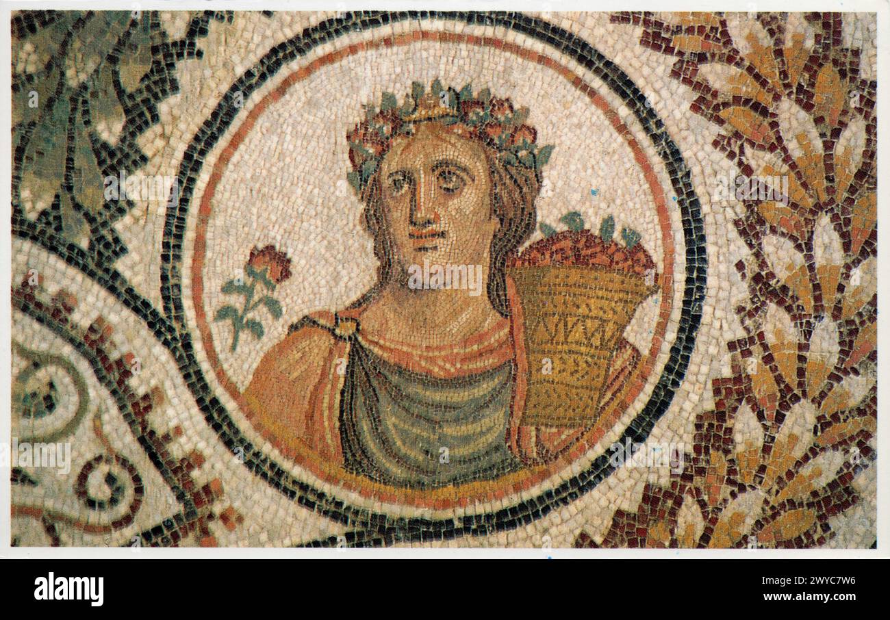 Musee du bardo hi-res stock photography and images - Alamy