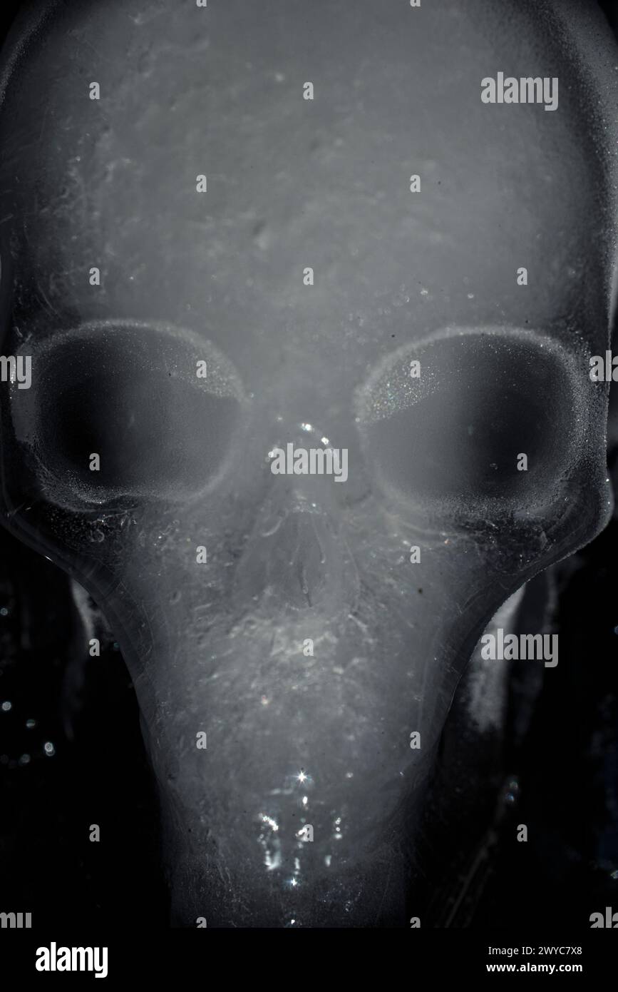 An icy skull on a black background. There are blurred areas in the ...