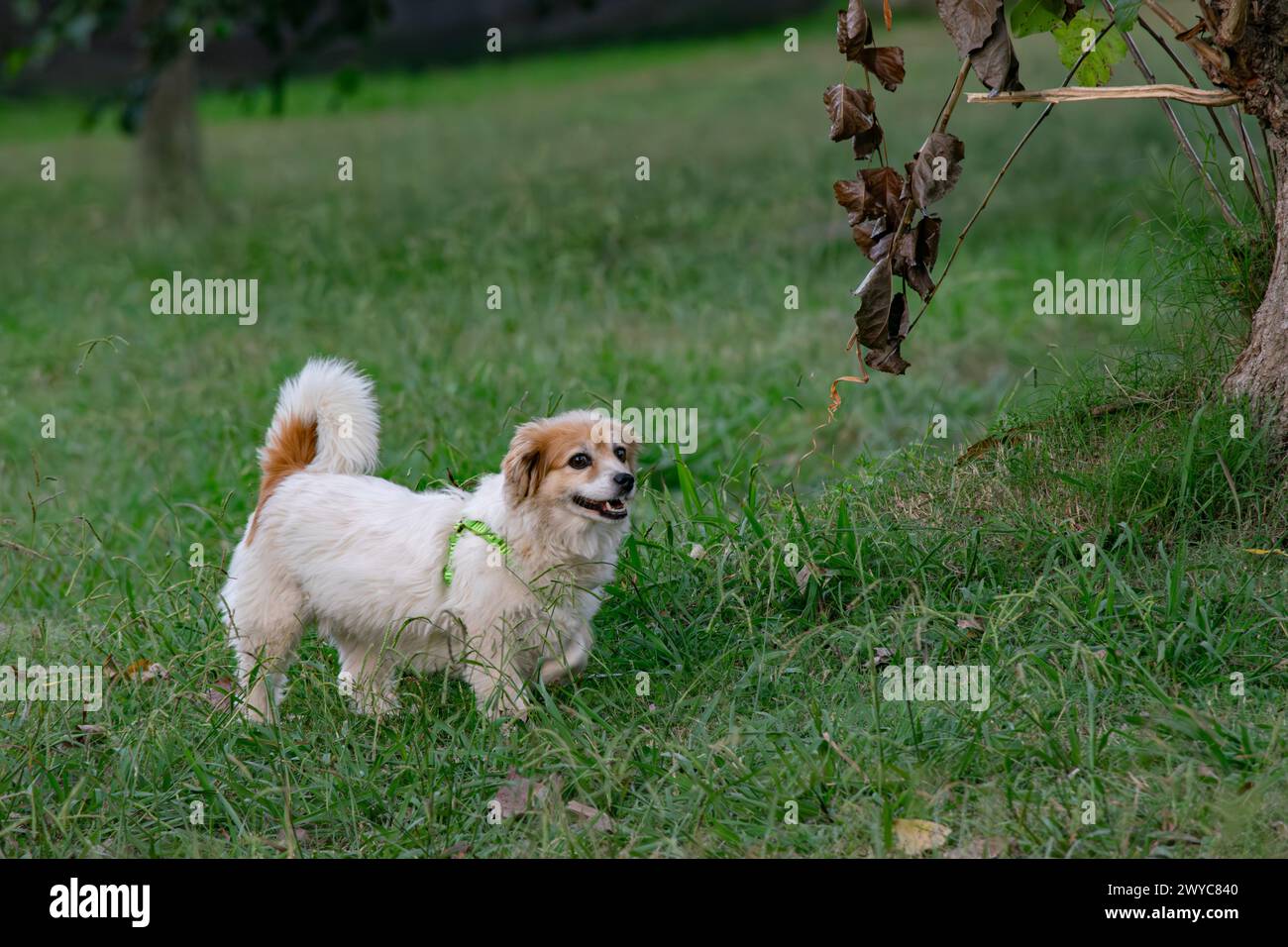 Dusk daytime hi-res stock photography and images - Alamy