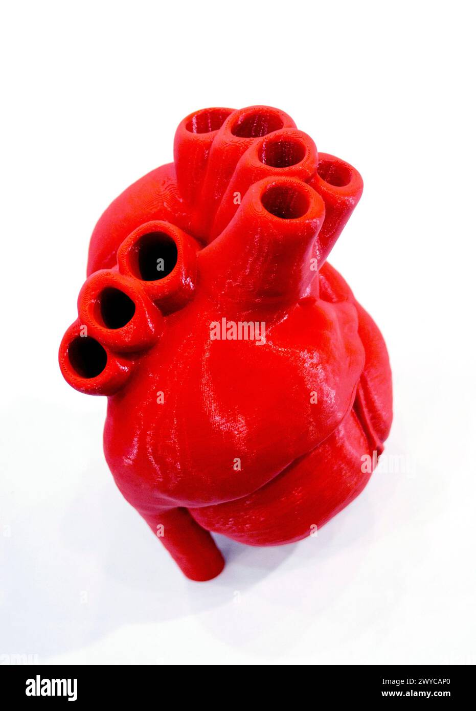 A prototype of a human heart 3D printed from molten red plastic. Model ...