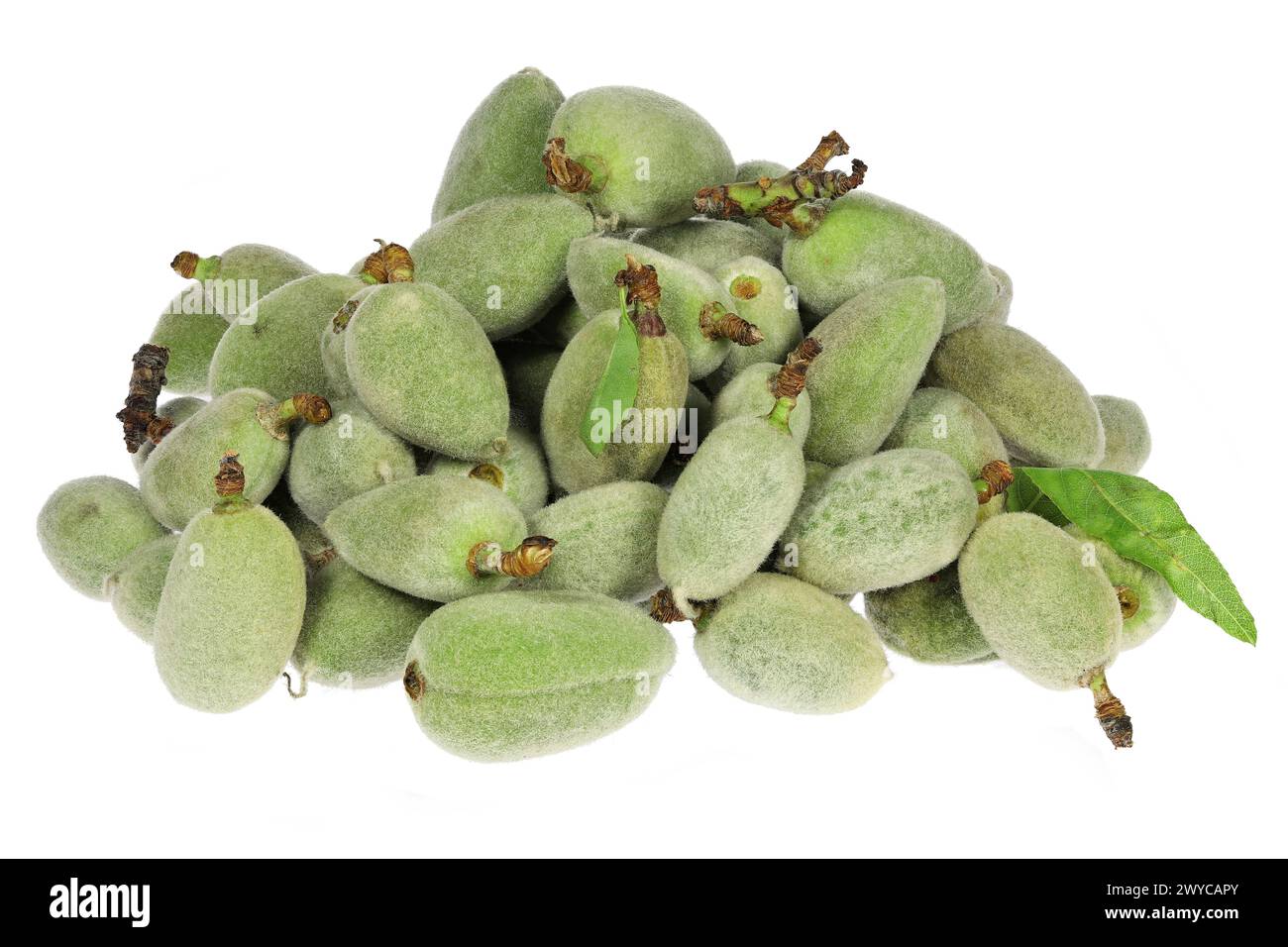 green almonds (cagla badem) from Turkey isolated on white background ...