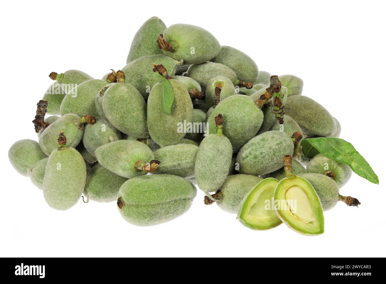 green almonds (cagla badem) from Turkey isolated on white background ...