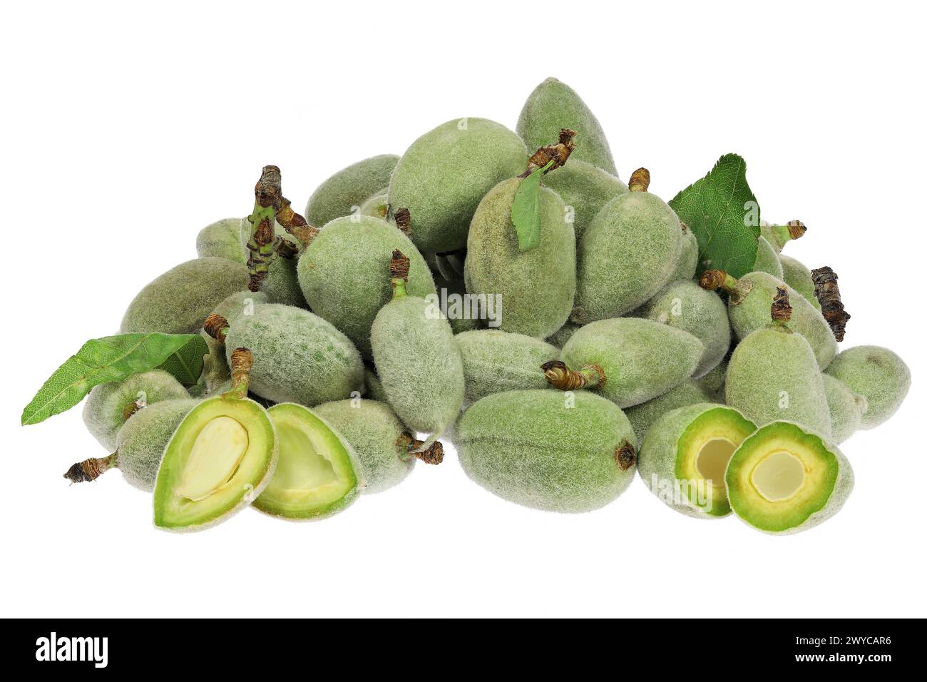 green almonds (cagla badem) from Turkey isolated on white background ...
