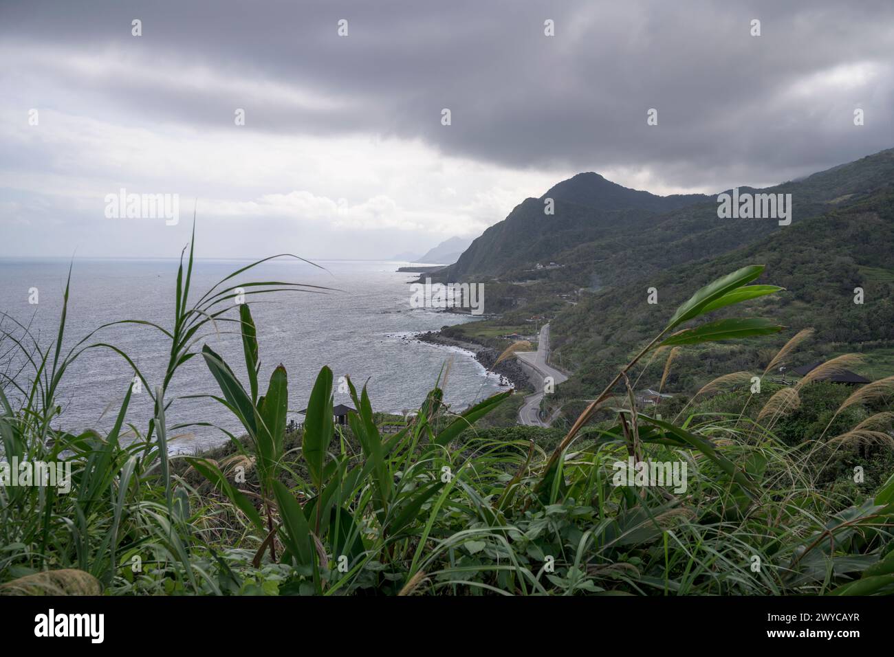 Image portrays the lush of coastal vegetation framing the rough beauty ...