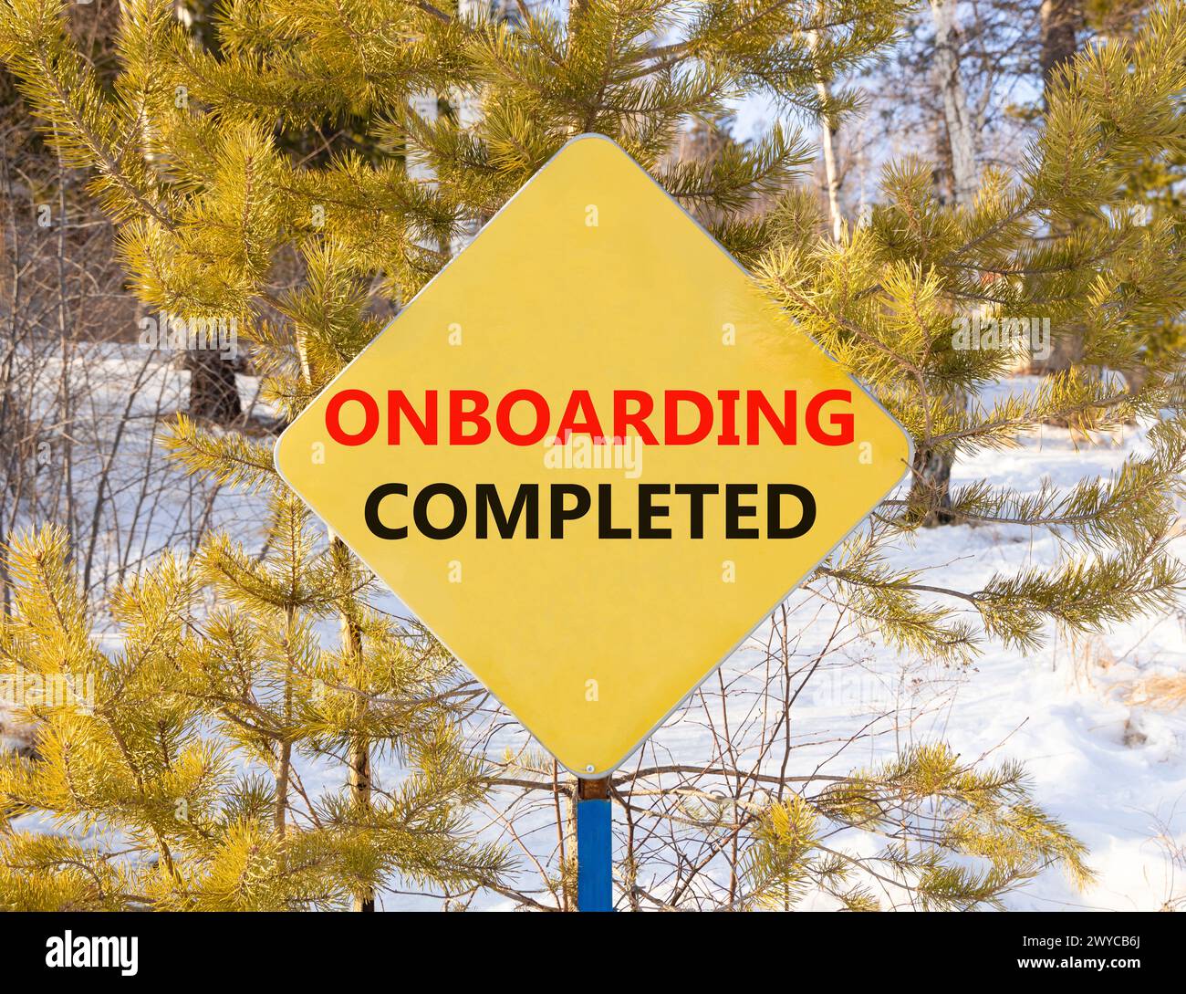 Onboarding completed symbol. Concept words Onboarding completed on ...