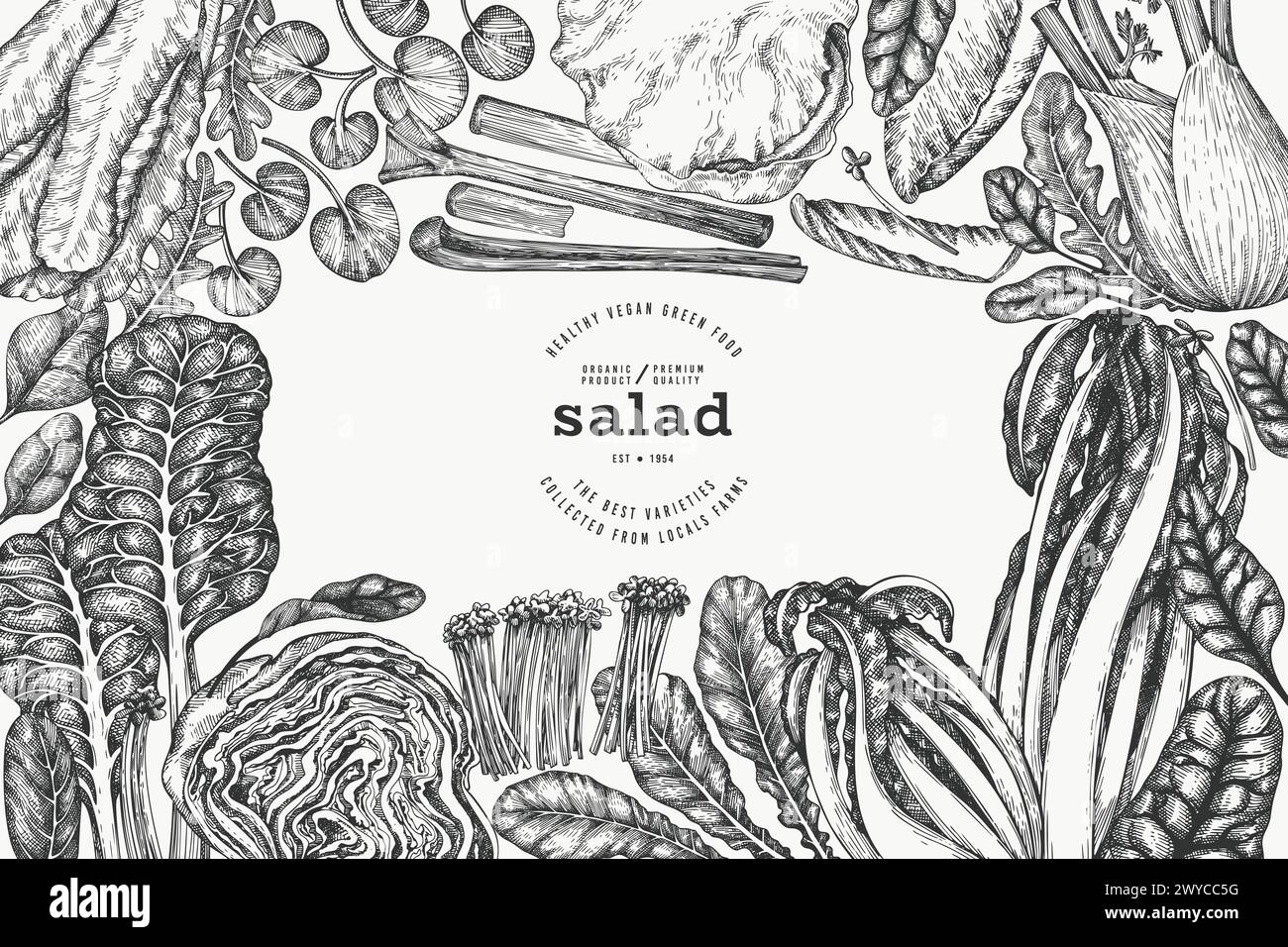 Green Vegetable Design Template. Vector Hand Drawn Healthy Leaf Salad ...