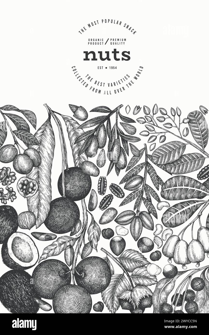Hand Drawn Nuts Branch And Kernels Template. Organic Seed Vector Design ...