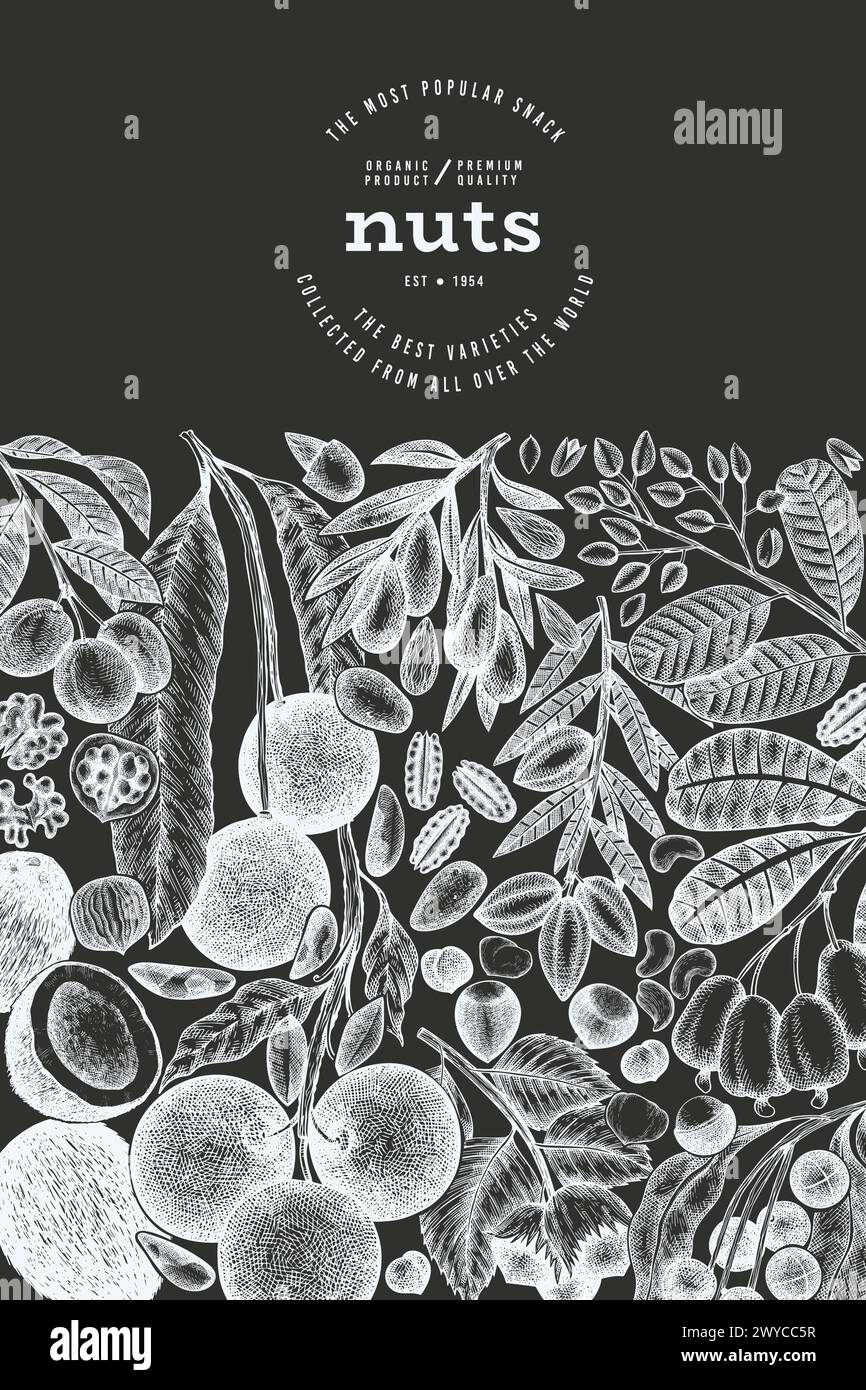 Hand Drawn Nuts Branch And Kernels Template. Organic Seed Vector Design ...