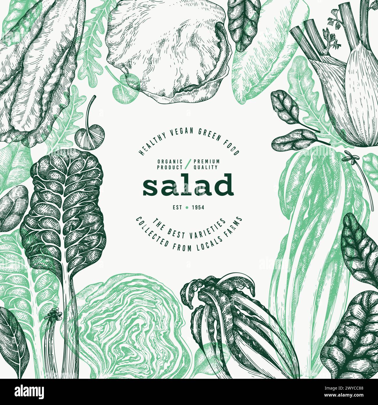 Green Vegetable Design Template. Vector Hand Drawn Healthy Leaf Salad ...
