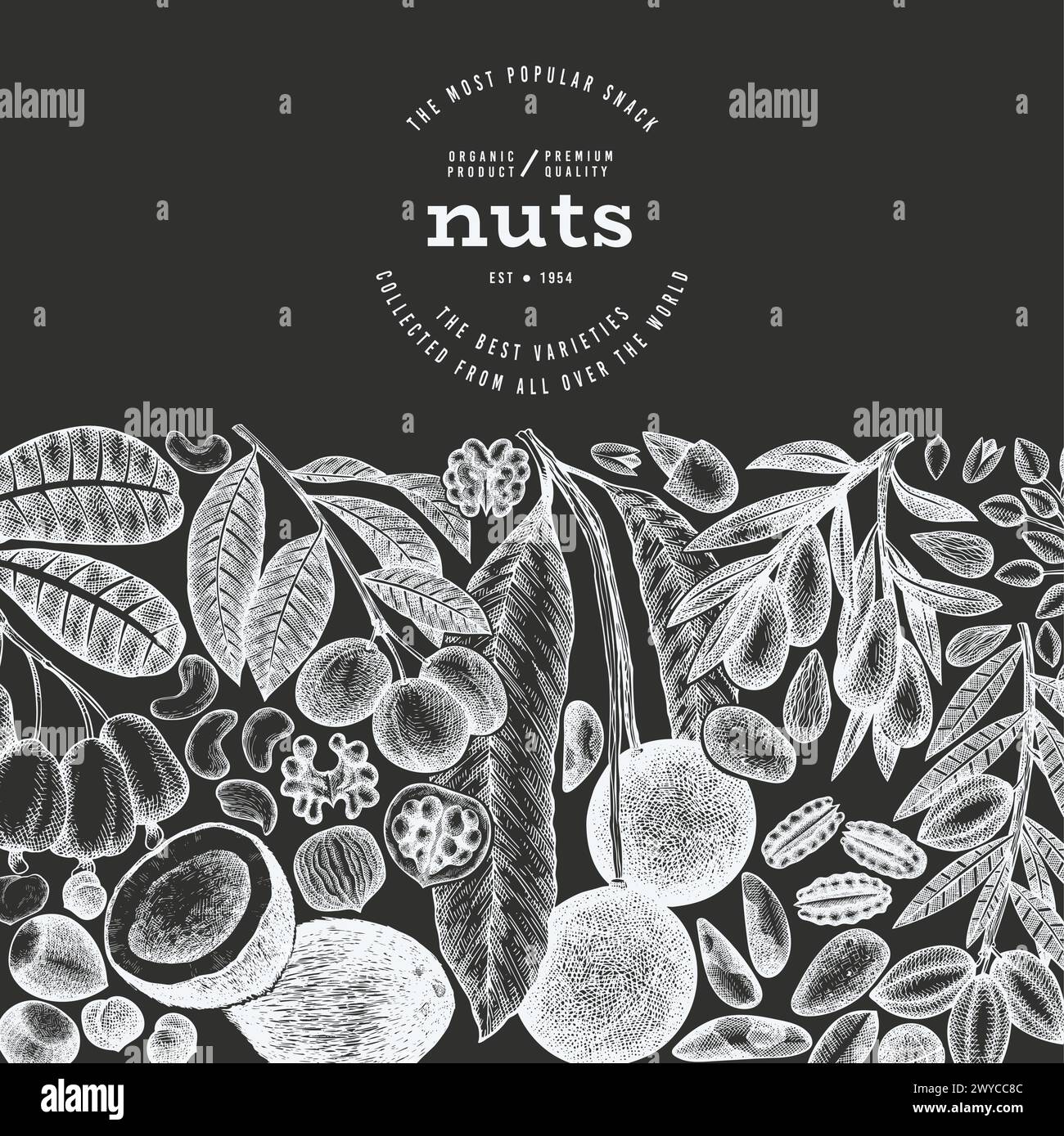 Hand Drawn Nuts Branch And Kernels Template. Organic Seed Vector Design ...