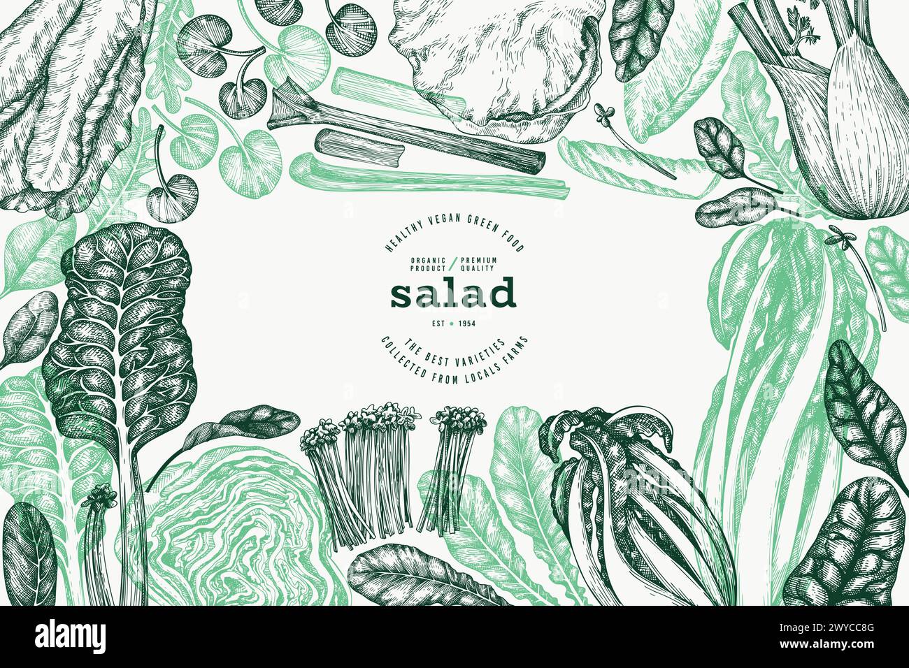 Green Vegetable Design Template. Vector Hand Drawn Healthy Leaf Salad ...