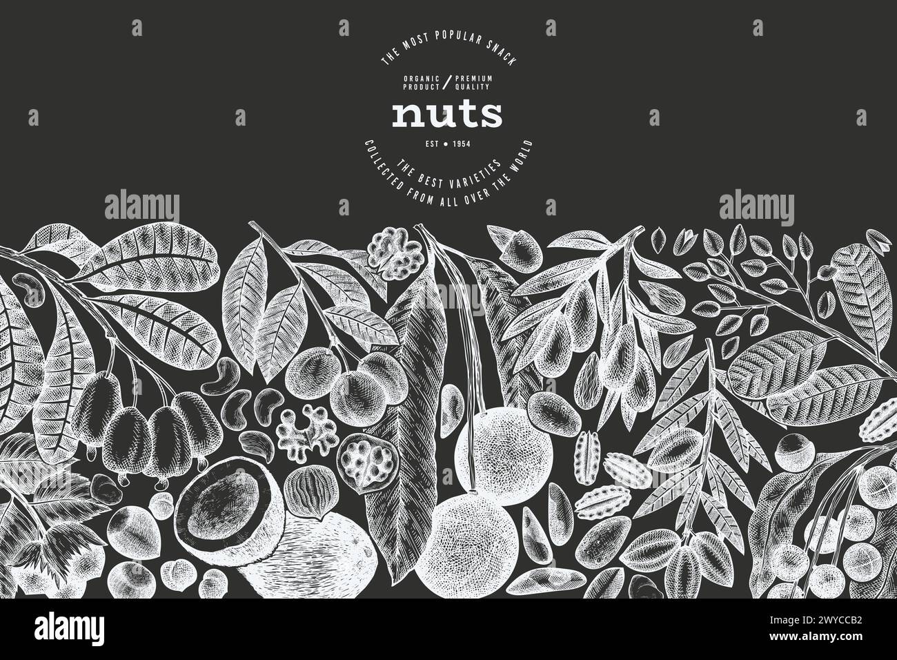 Hand Drawn Nuts Branch And Kernels Template. Organic Seed Vector Design ...