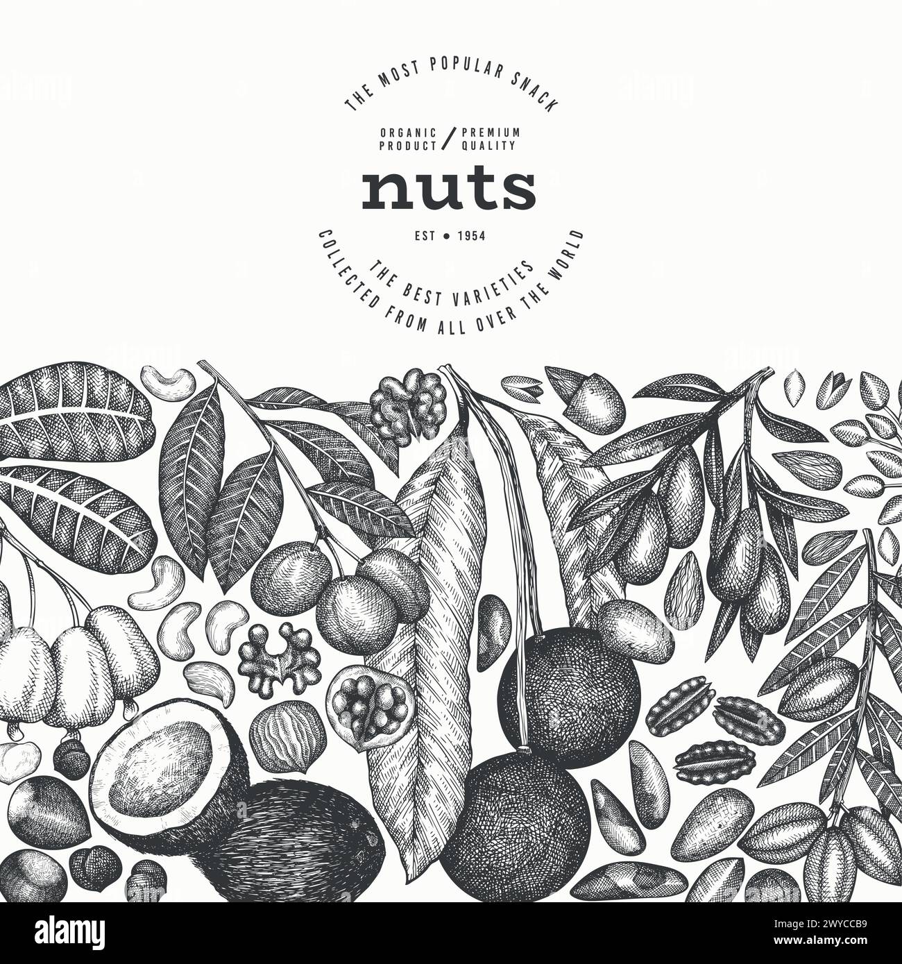 Hand Drawn Nuts Branch And Kernels Template. Organic Seed Vector Design ...