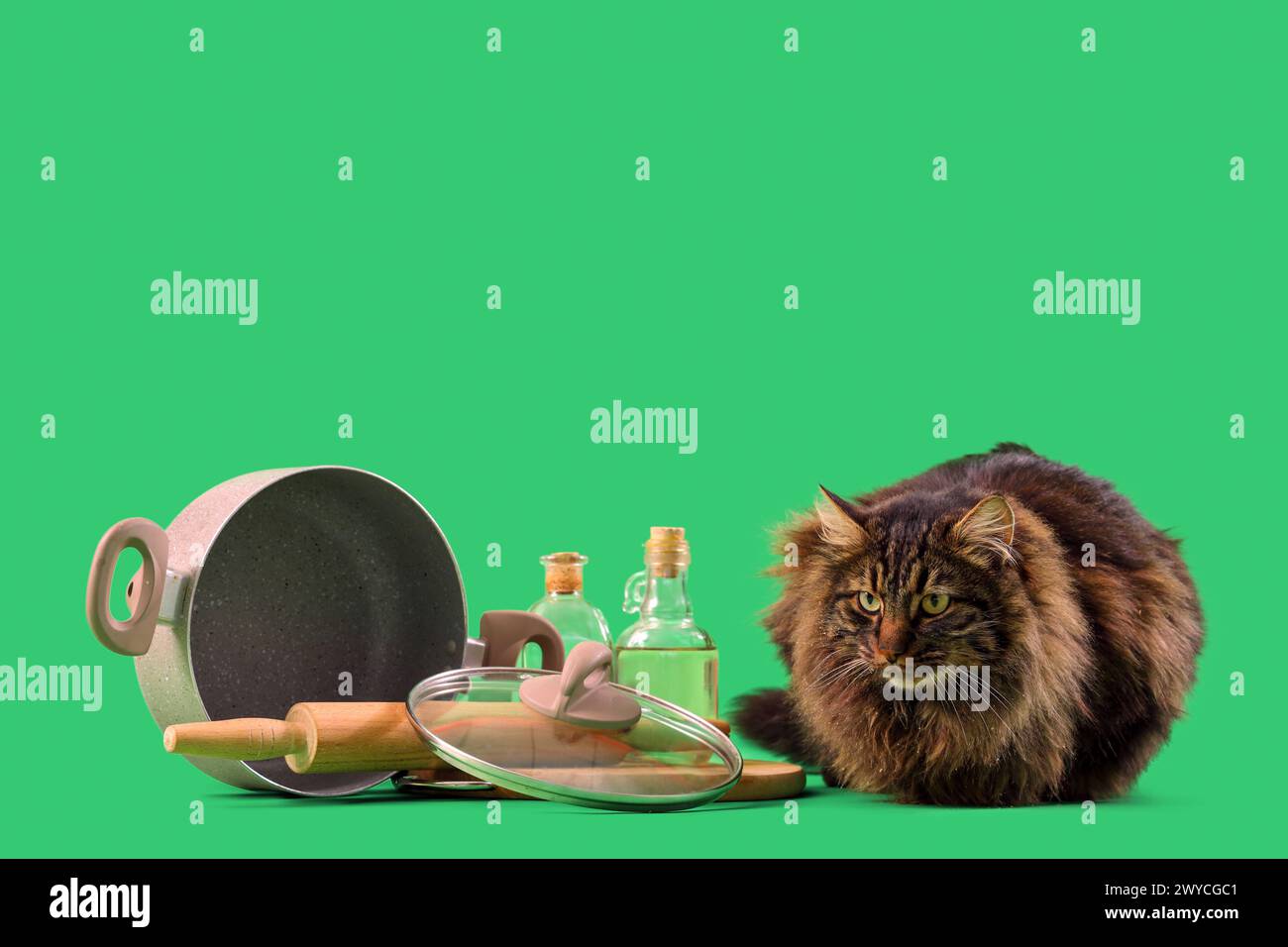 Cute cat with kitchen utensils and bottles of oil on green background ...