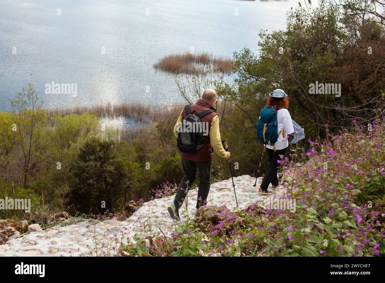 senior couple hiking outdoor, man and woman norwegian walking with sticks Stock Photo - Alamy