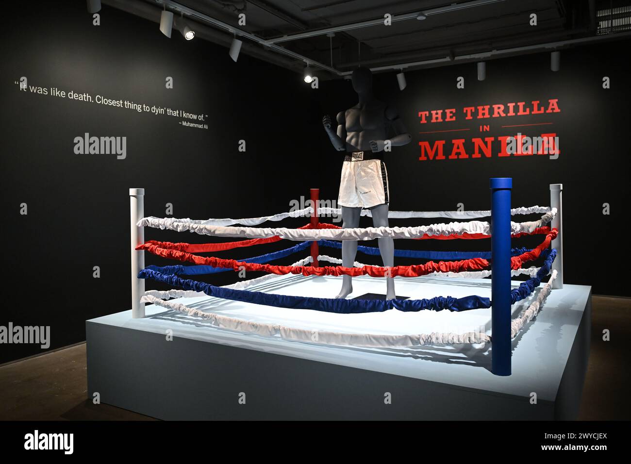 Muhammad Ali's trunks worn during the 1975 legendary match against Joe ...