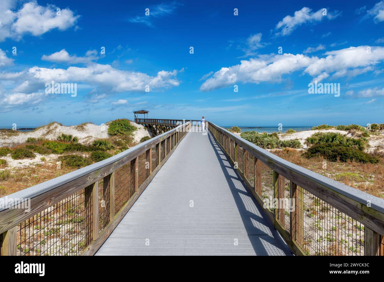 Smyrna Dunes Park with elevated boardwalk and fishing pier in New Smyrna Beach, Florida Stock ...