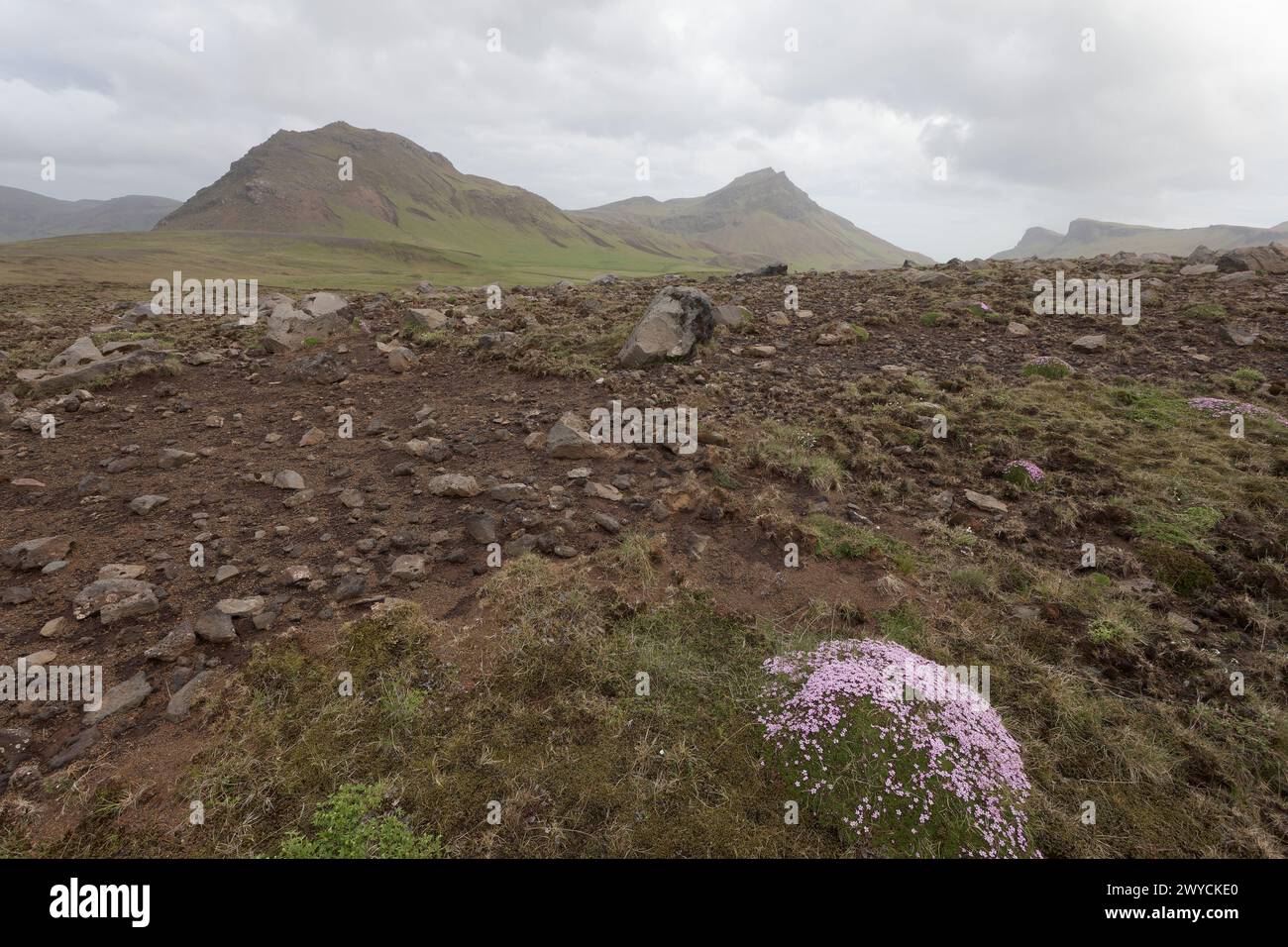 Iceland, around the ring road Stock Photo - Alamy