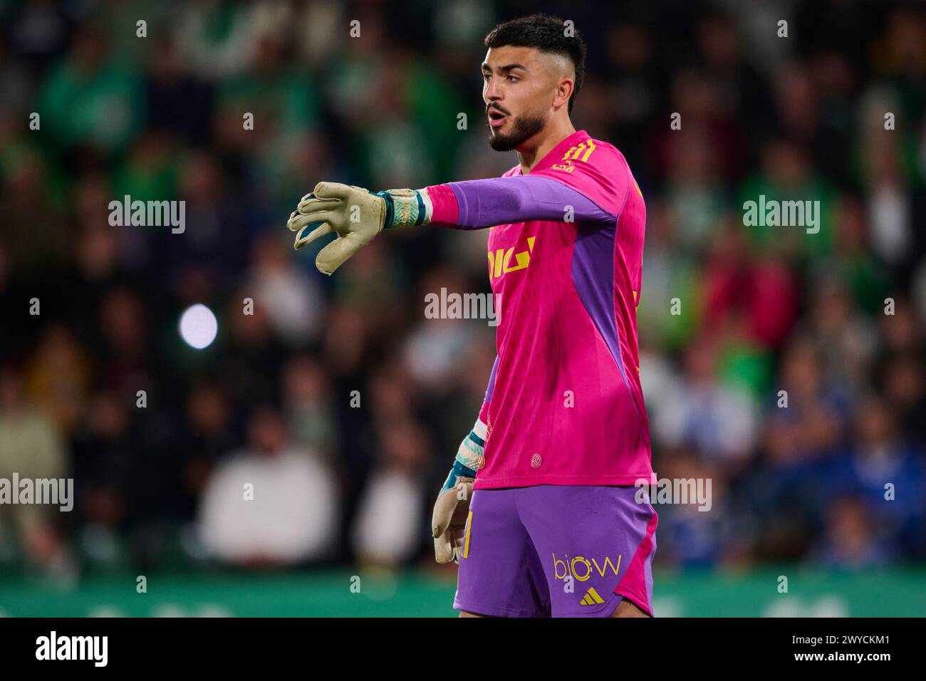 Leo roman hi-res stock photography and images - Alamy