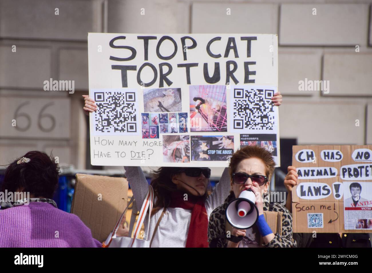 Abusing animals hi-res stock photography and images - Alamy