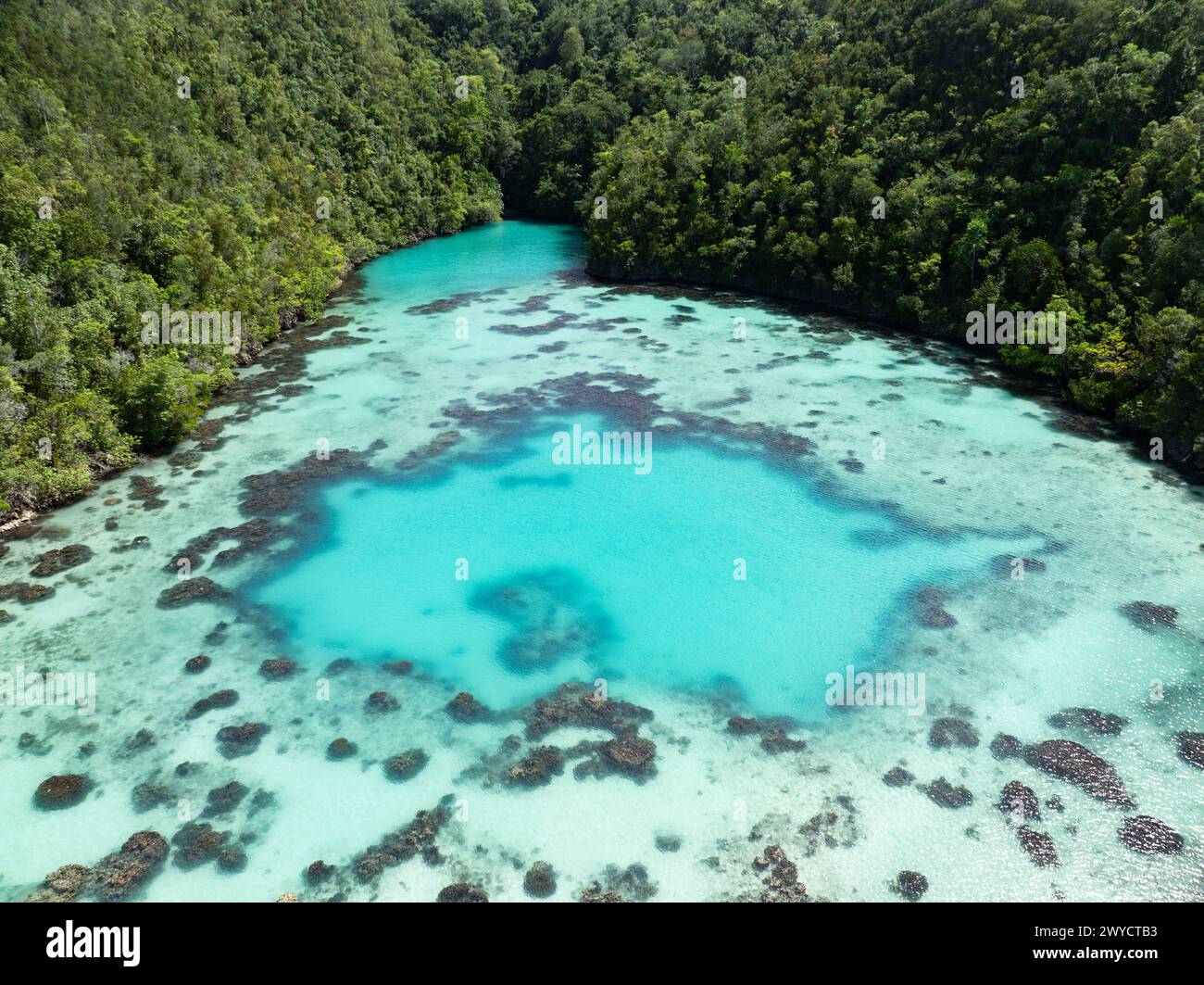 A shallow coral reef grows in a calm lagoon amid Raja Ampat's tropical ...