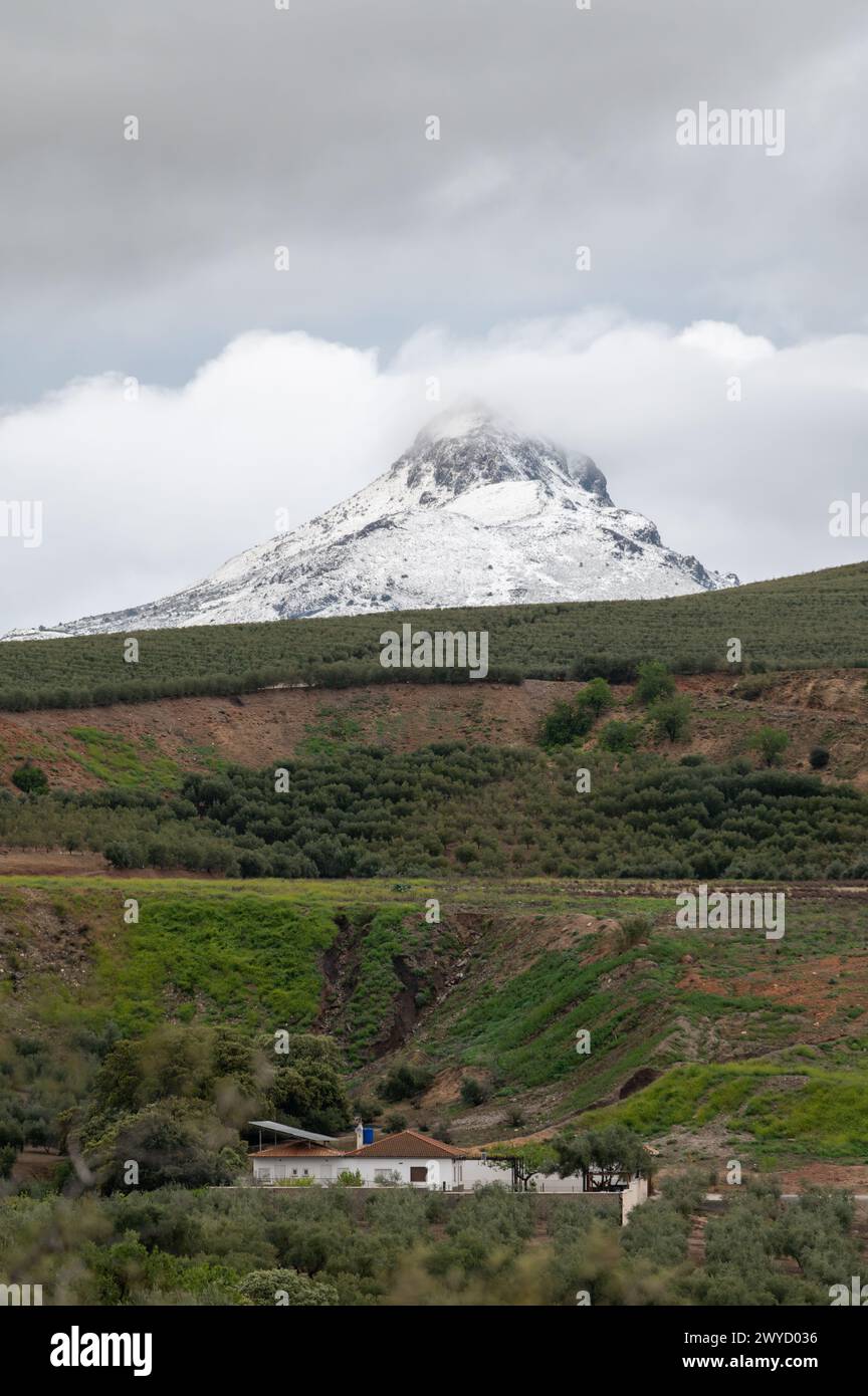 Sierra arana hi-res stock photography and images - Alamy