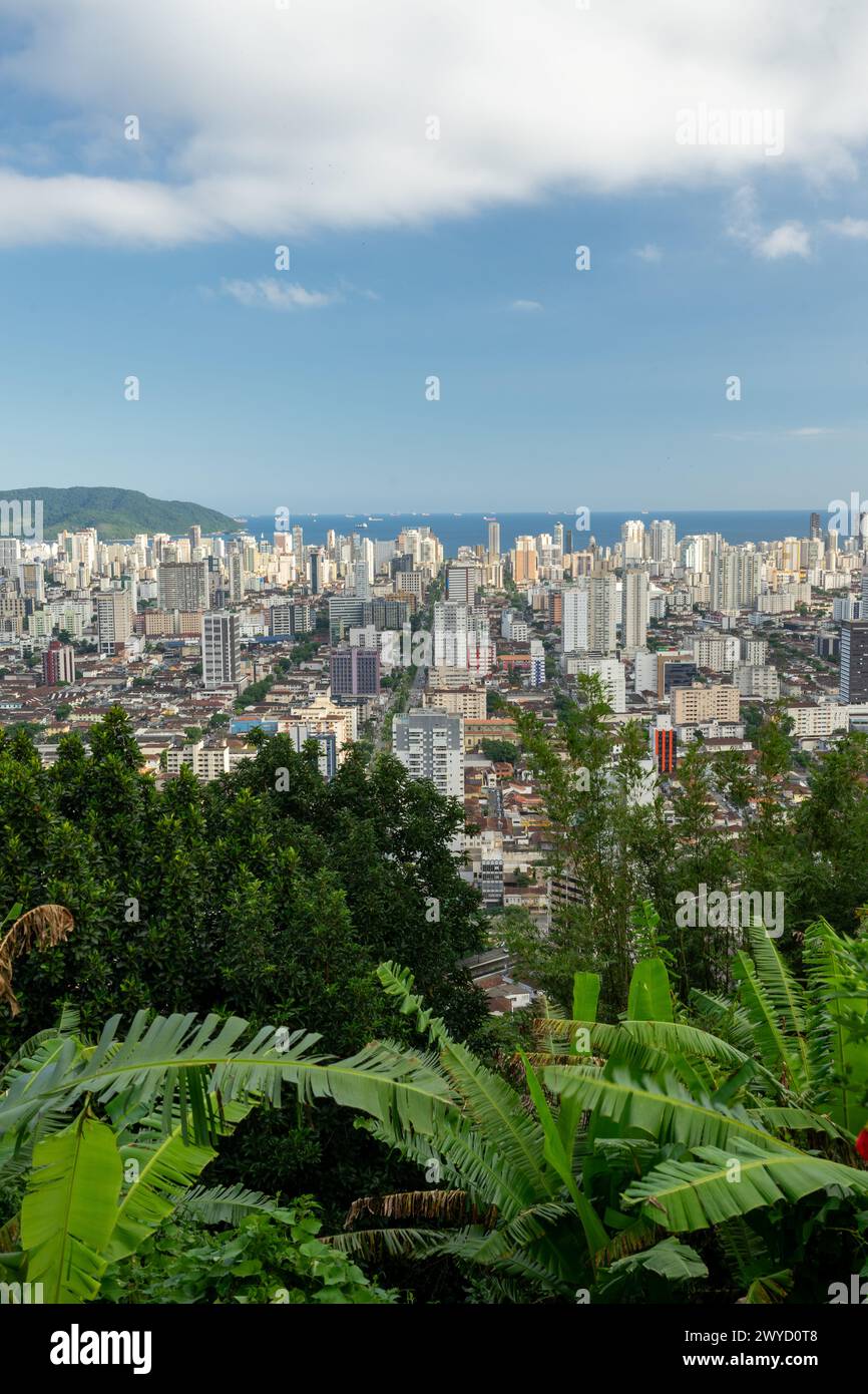 The skyline of Santos with trees in the foreground. Santos, Brasil ...