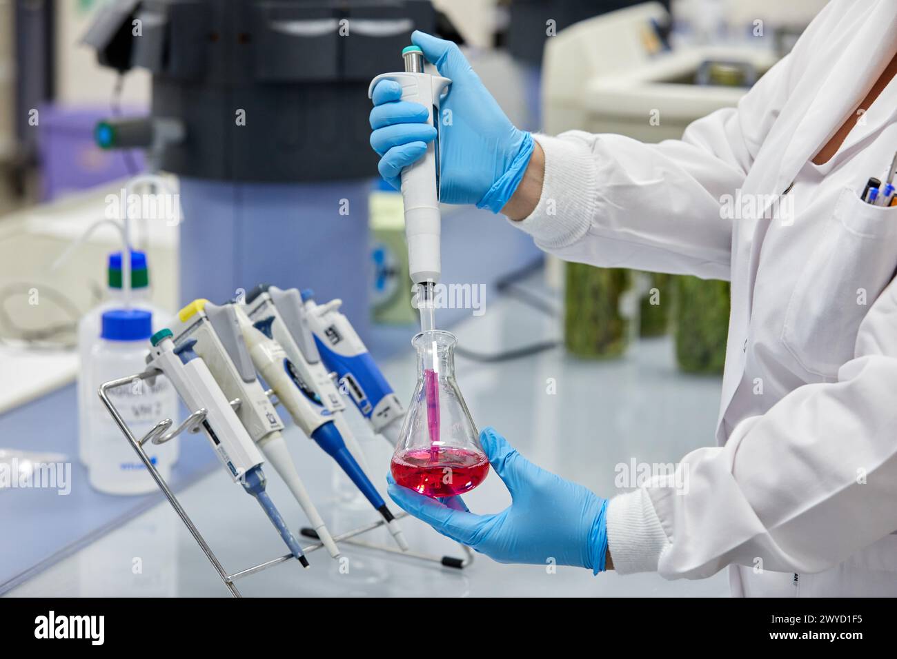 Environmental laboratory, Chemical Laboratory Stock Photo - Alamy