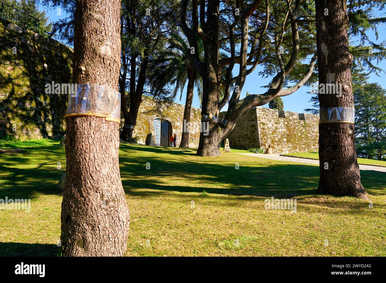 Castillo de O Castro, Parque Monte do Castro, Vigo, Pontevedra, Galicia ...