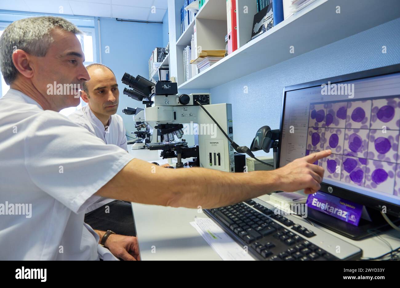 Analysis of samples in a microscope, Clinical analysis, Hematology ...