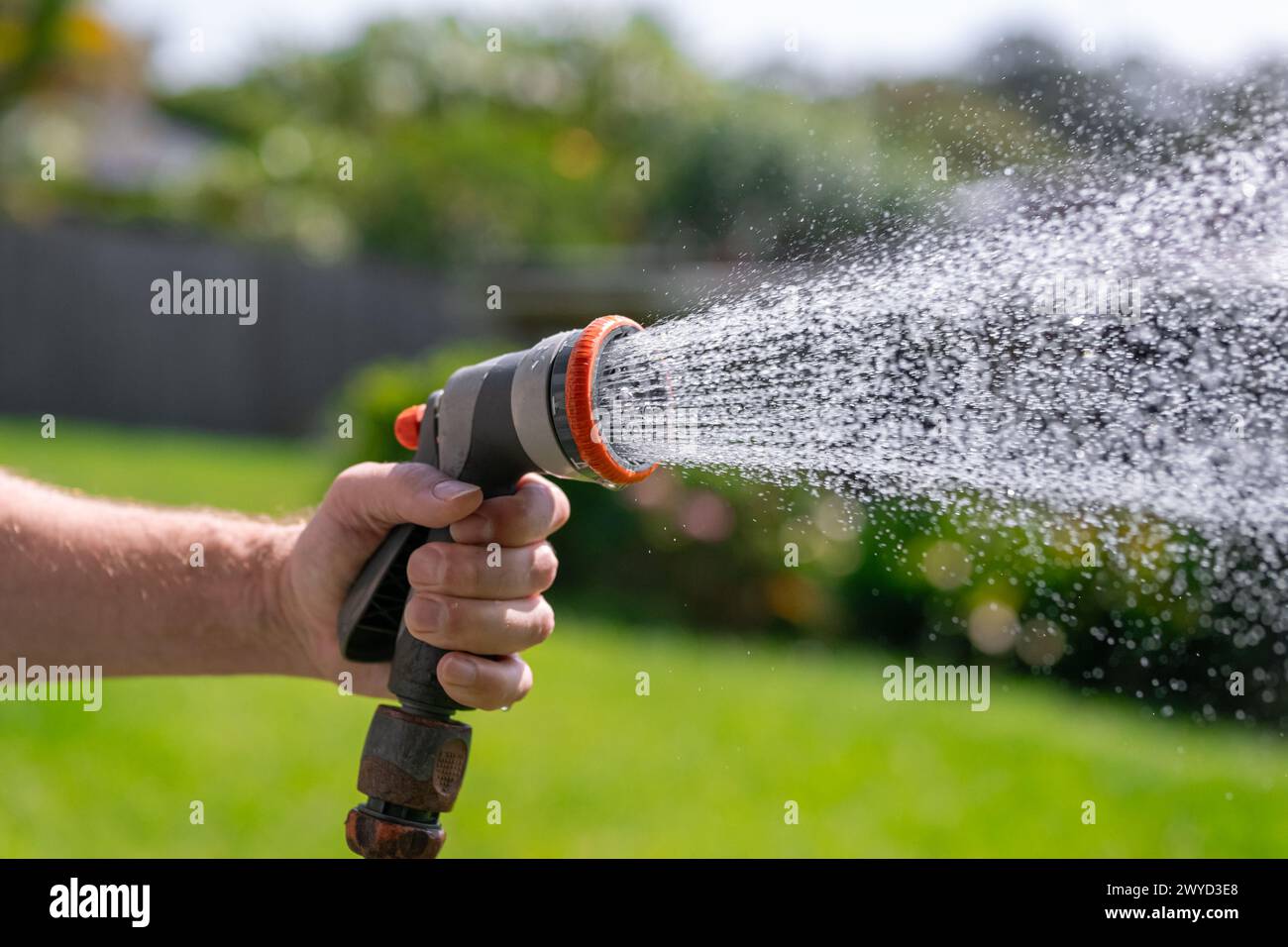Garden hose with adjustable nozzle. Man's hand holding spray gun and ...