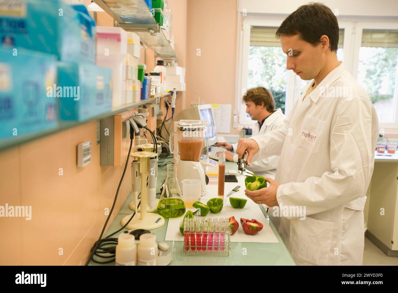 Analysis of pepper fruits morphology, Laboratory of Horticulture ...