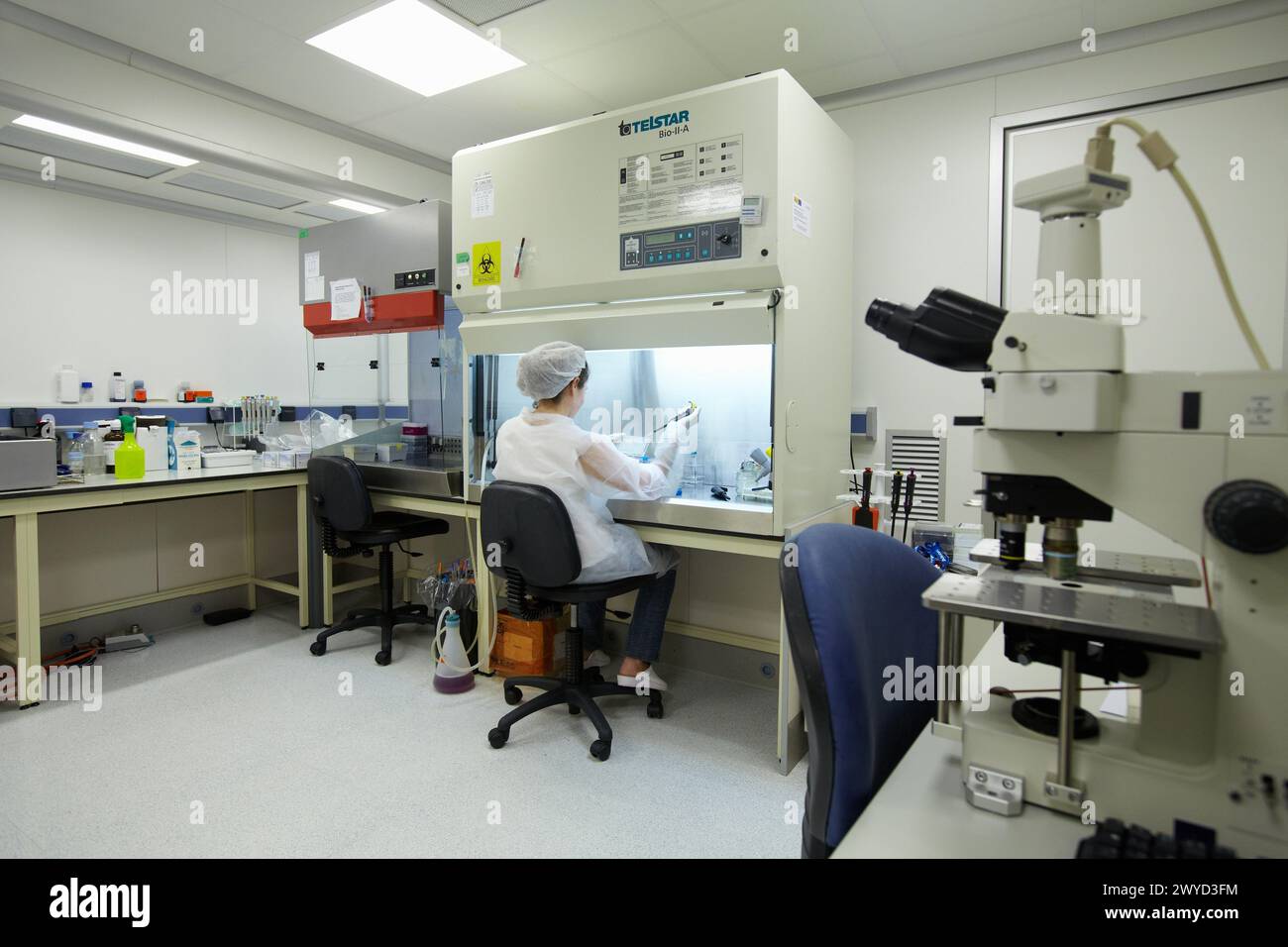 Researcher seeding mammalian cells in a cell culture room equipped with ...