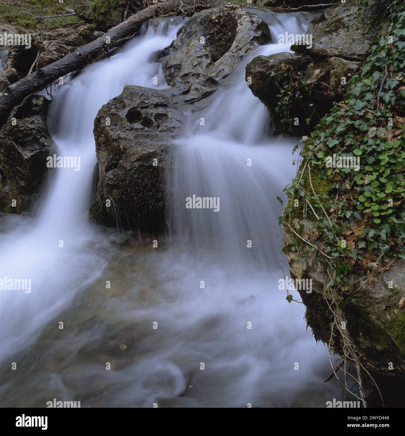Alzania River. Guipúzcoa. Spain Stock Photo - Alamy
