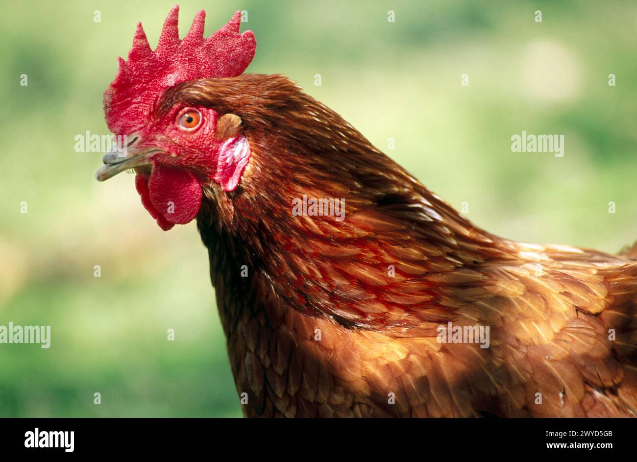 Legazpi guipuzcoa hi-res stock photography and images - Alamy