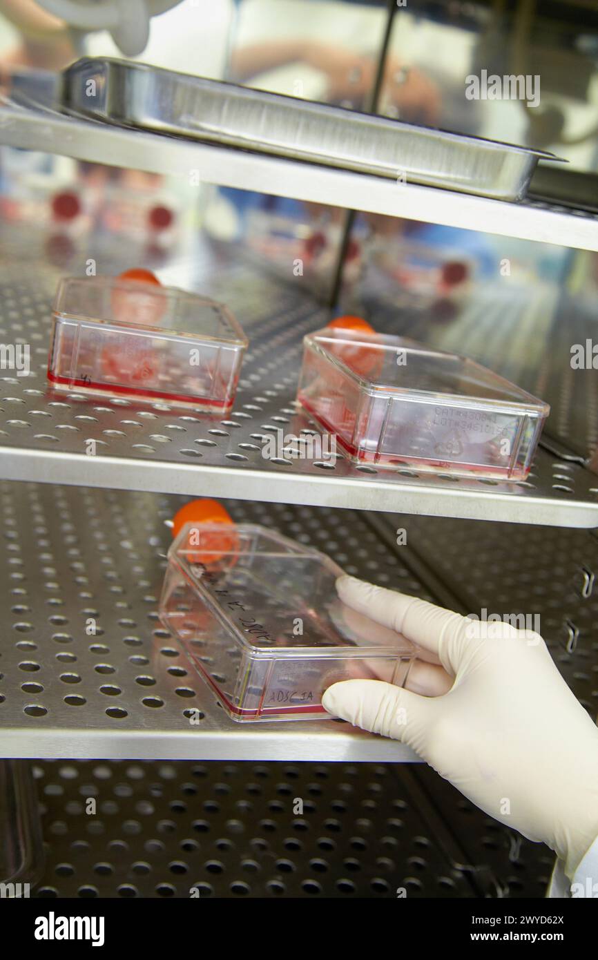 Cleanrooms laboratory hi-res stock photography and images - Alamy