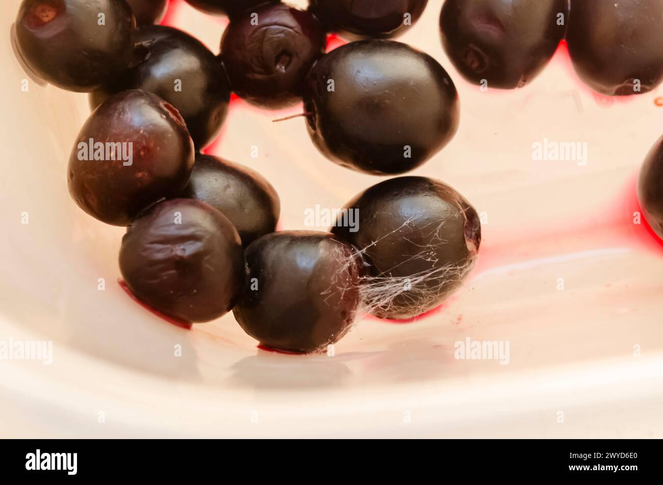 Cyzygium Cumini Fruit Stock Photo - Alamy