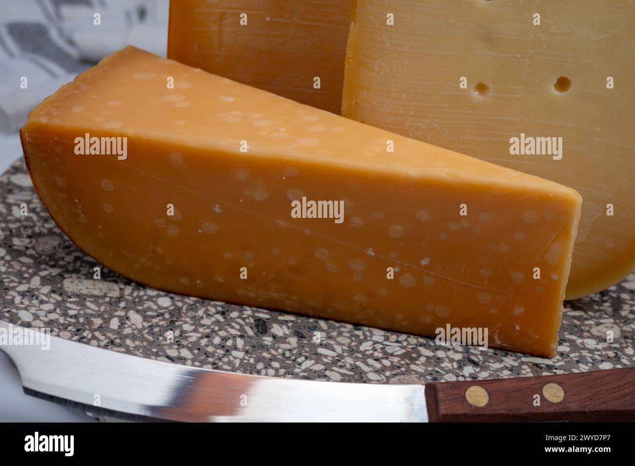 Cheese collection, Dutch ripe hard cheeses made from cow milk in the ...