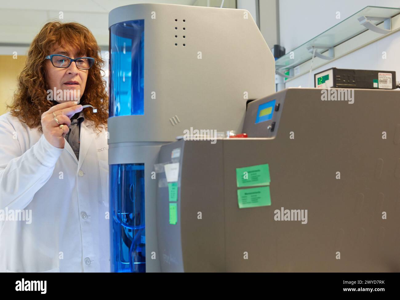 Realization of thermogravimetric test on different types of displays hi ...