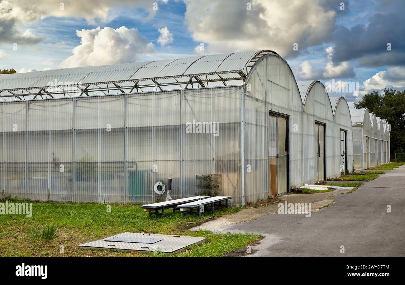Greenhouse, Institute for Agricultural Research and Development and the ...