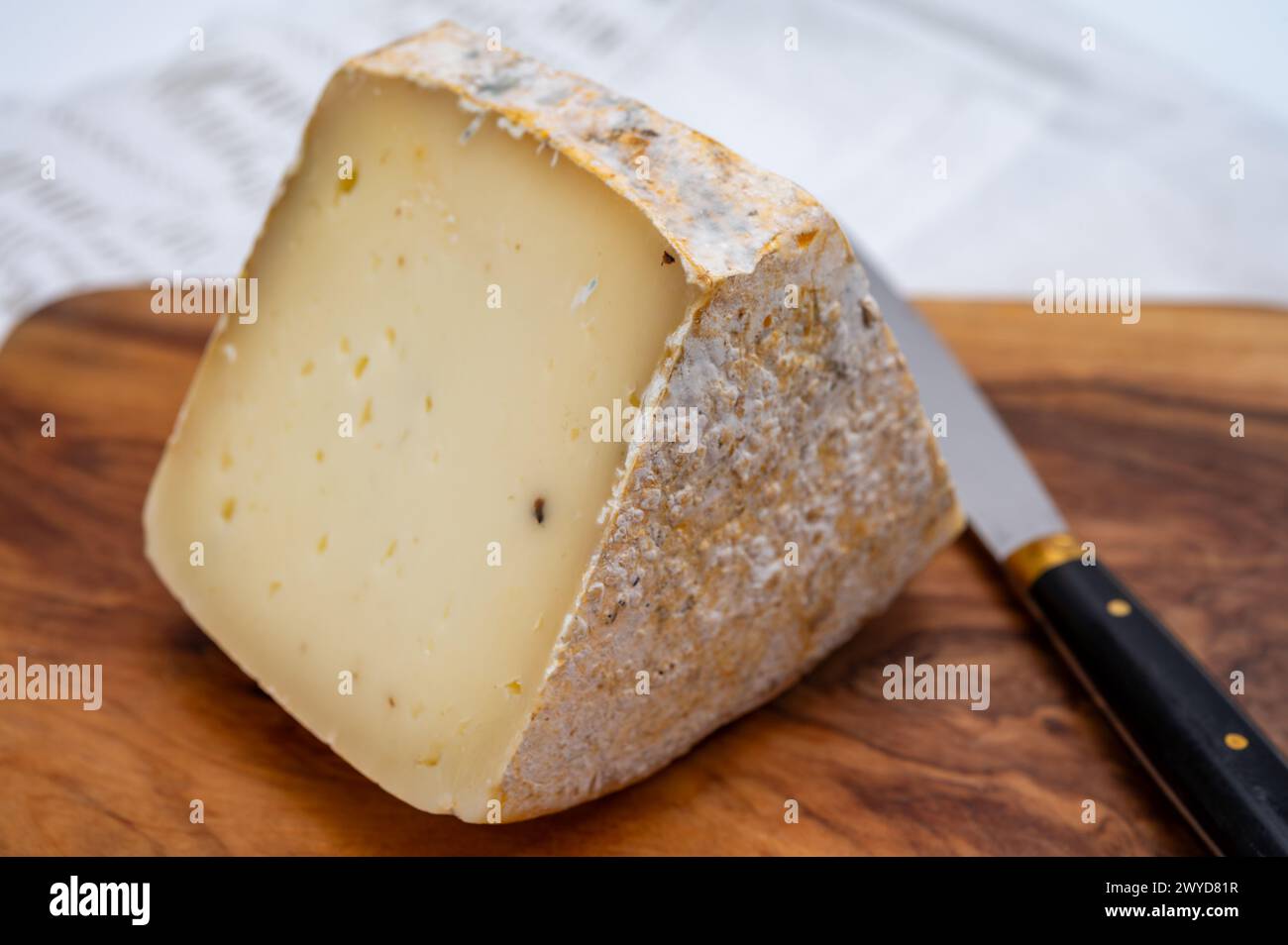 Piece of hard Ciambella Trufilo cheese made with summer truffel from ...