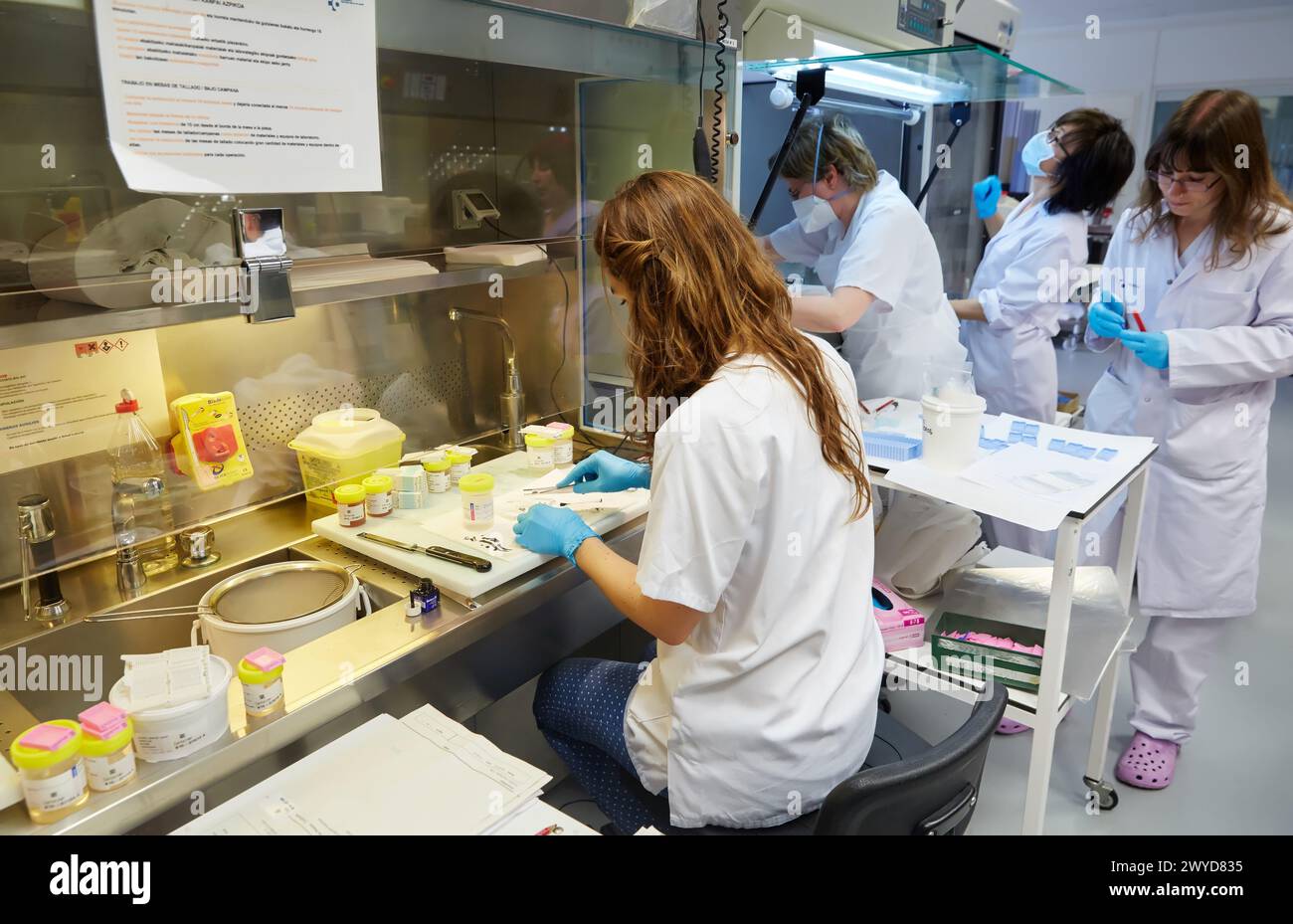 Macros area, Carving, Selecting tissue sample, Anatomic Pathology ...