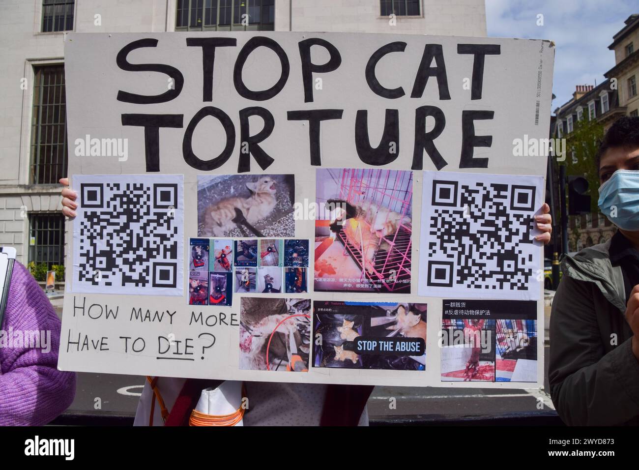Cat torture ring hi-res stock photography and images - Alamy