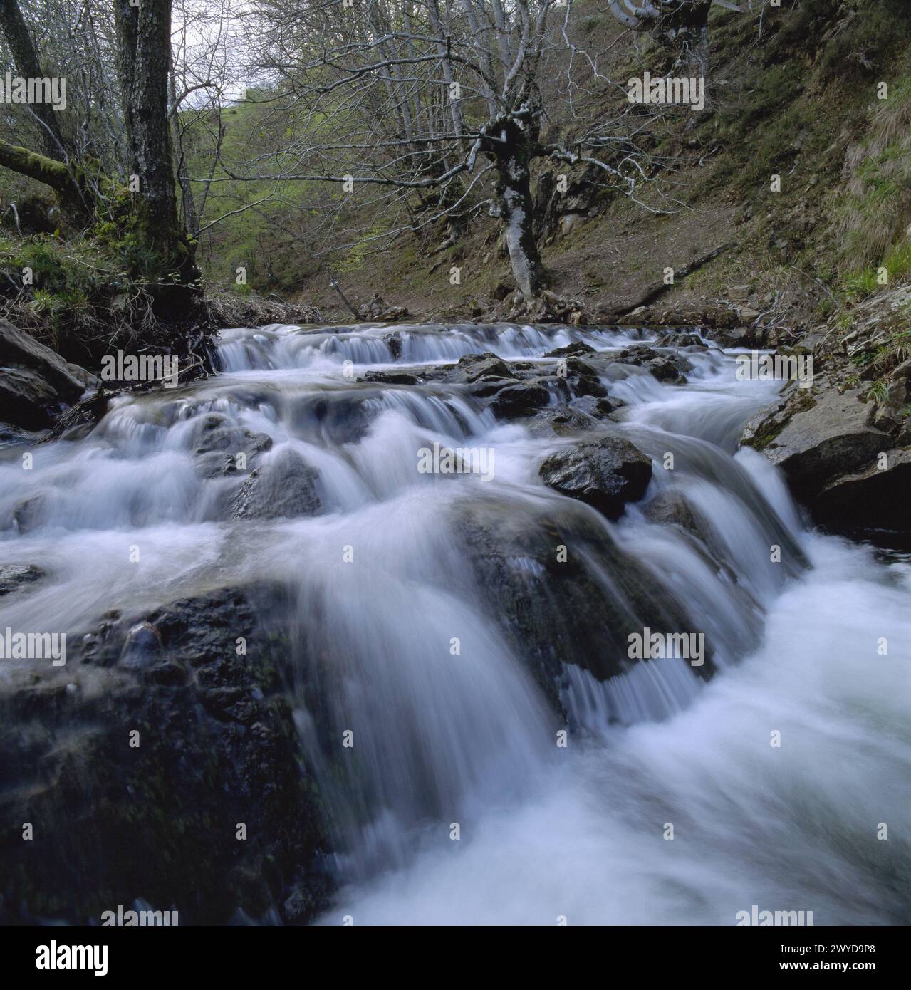 Alzania River. Guipúzcoa. Spain Stock Photo - Alamy