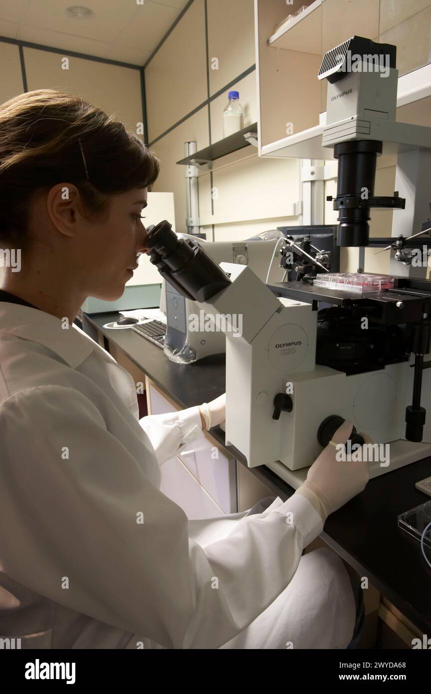 Technical staff working with Olympus IX50 microscope, provided with ...