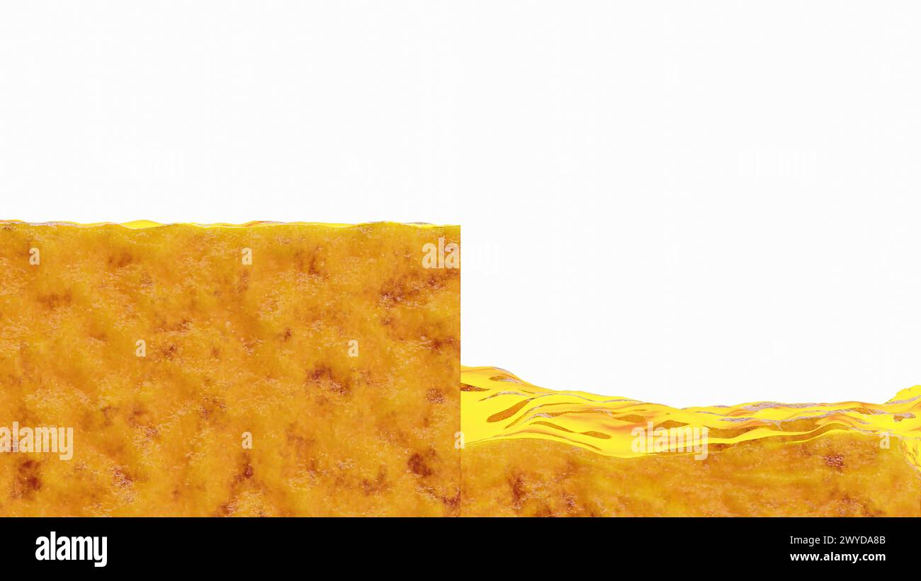 Fat thin human hi-res stock photography and images - Alamy